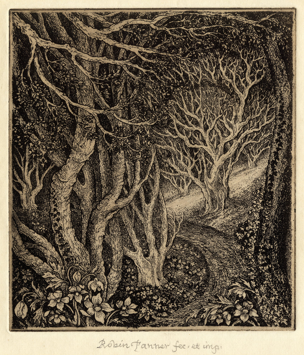 The Hazel Copse – Larkhall Fine Art